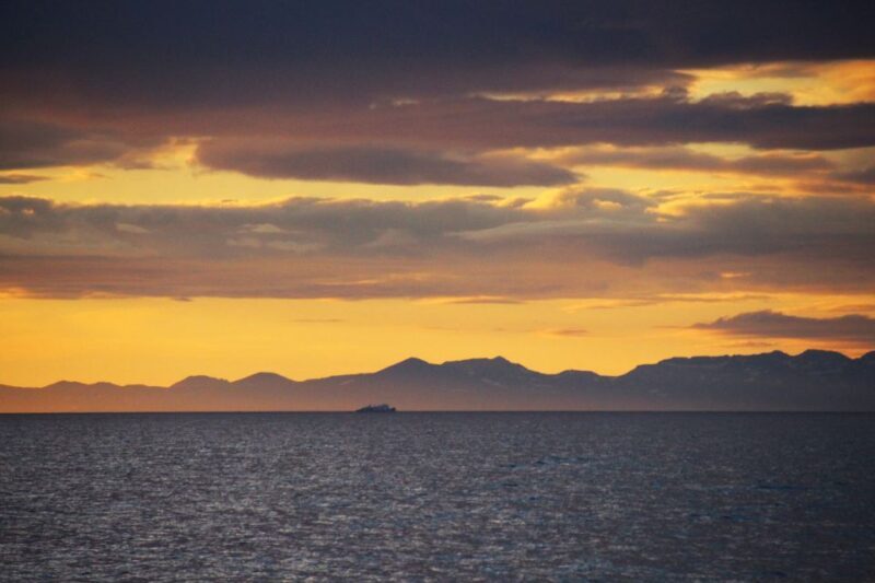 Reykjavík: Midnight Sun Whale Watching Cruise - The Sum Up