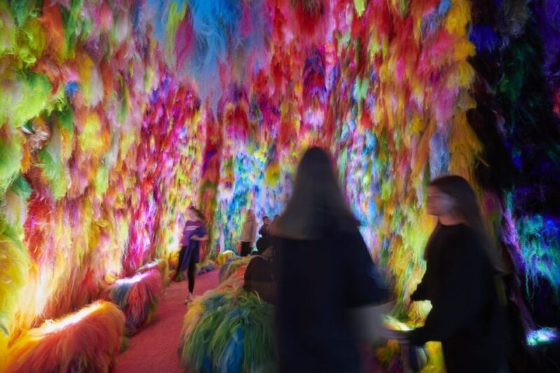 Reykjavík: Multi-Sensory Art Installation Chromo Sapiens - Who Will Love This?