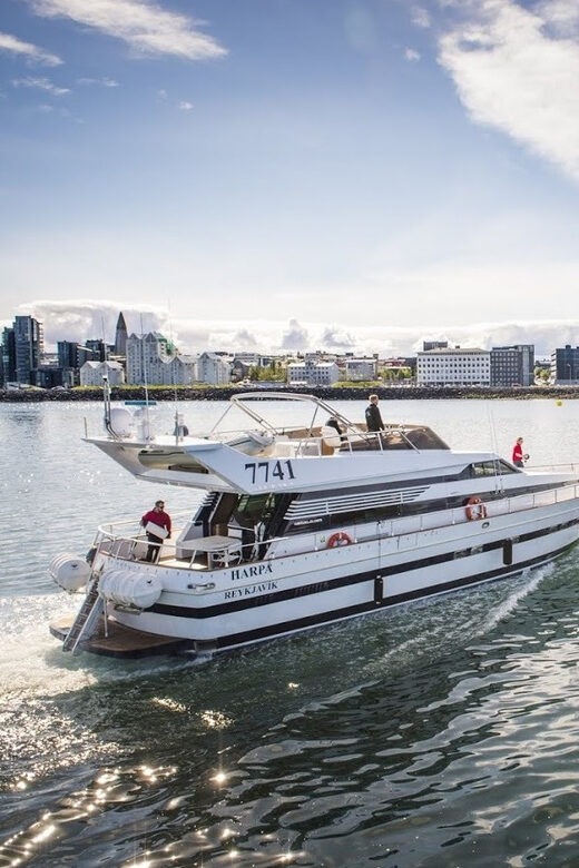 Reykjavík: New Year's Eve Northern Lights Yacht Cruise - Who Should Consider This Cruise?