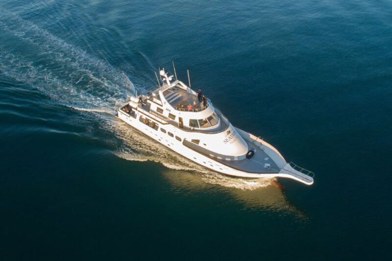 Reykjavik: New Years Fireworks Midnight Cruise - FAQ