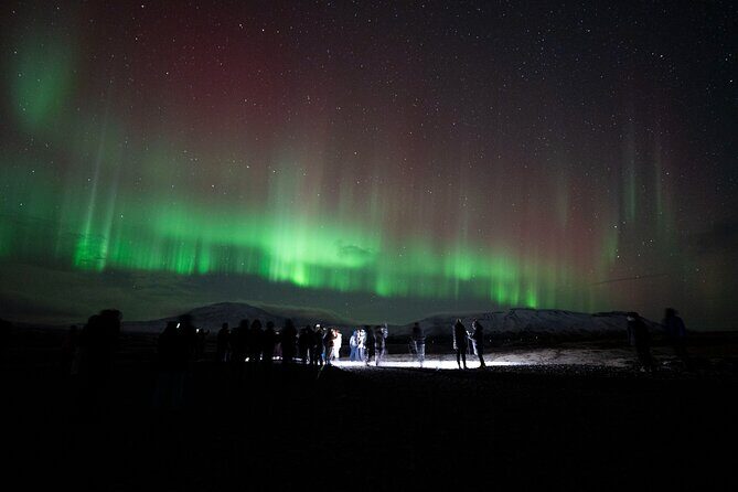 Reykjavik: Northern Lights Comfort Coach with Surprise - Who Should Consider This Tour?