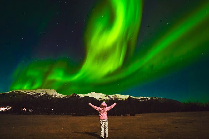 Reykjavik: Northern Lights Comfort Coach with Surprise - FAQs