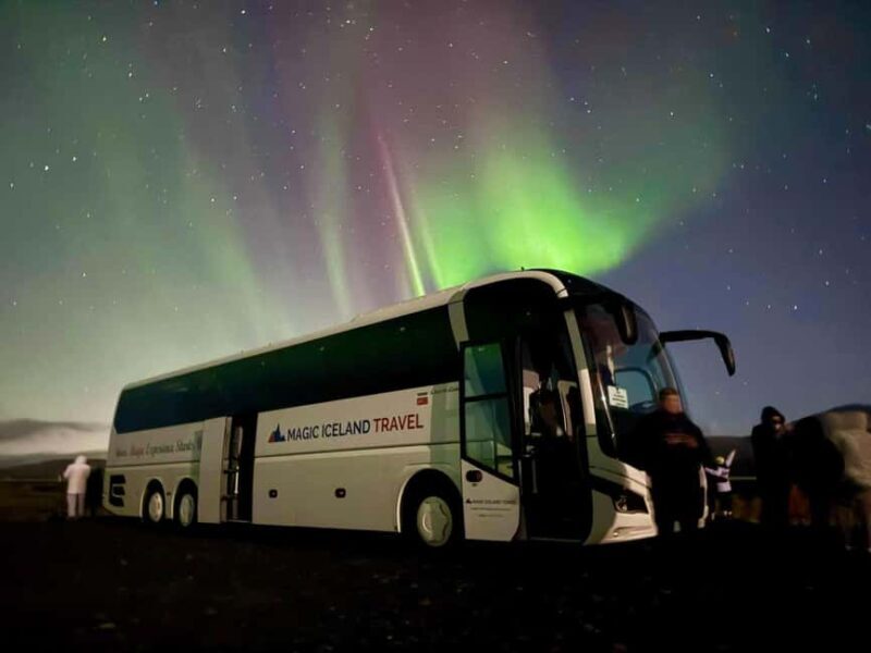 Reykjavik: Northern Lights Comfort Coach with Surprise - Sightings, Guides, and Authenticity