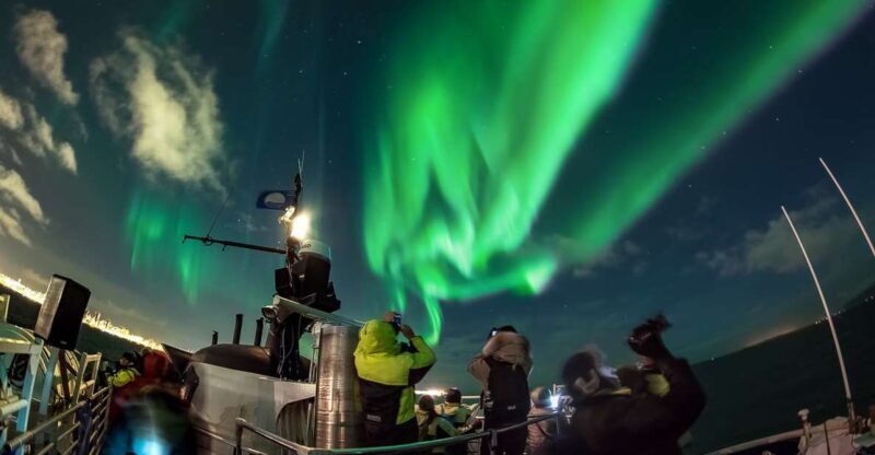 Reykjavik: Northern Lights Guided Boat Tour - Key Points