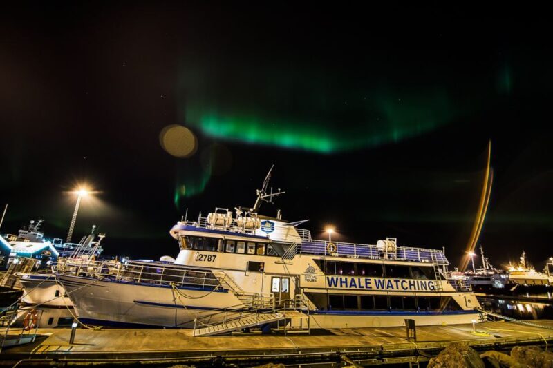 Reykjavik: Northern Lights Guided Boat Tour - The Practical Side: Pricing & Value