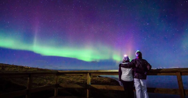 Reykjavík: Northern Lights Minibus Tour with Photos - The Guides: Knowledgeable and Caring