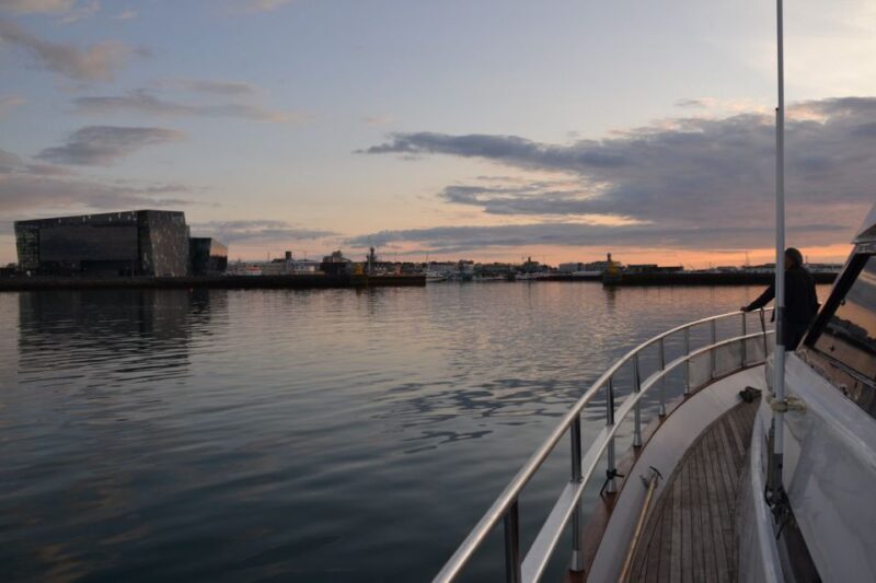 Reykjavik: Northern Lights Motor Yacht Cruise - Starting Point and Logistics