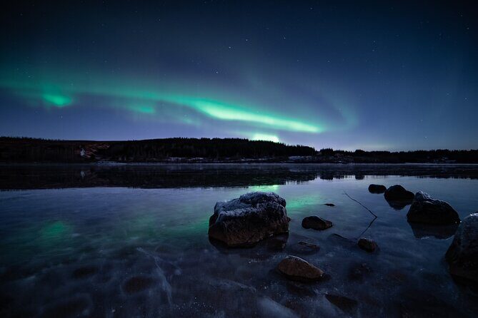 Reykjavik Northern Lights Tour with Professional Photographer - Price & Value Analysis