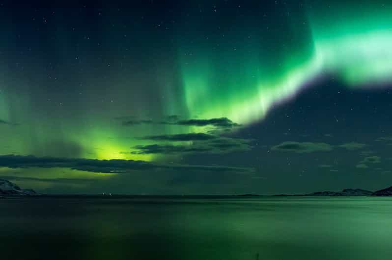 Reykjavik: Northern Lights with Icelandic Treats - The Realities of Aurora Sightings