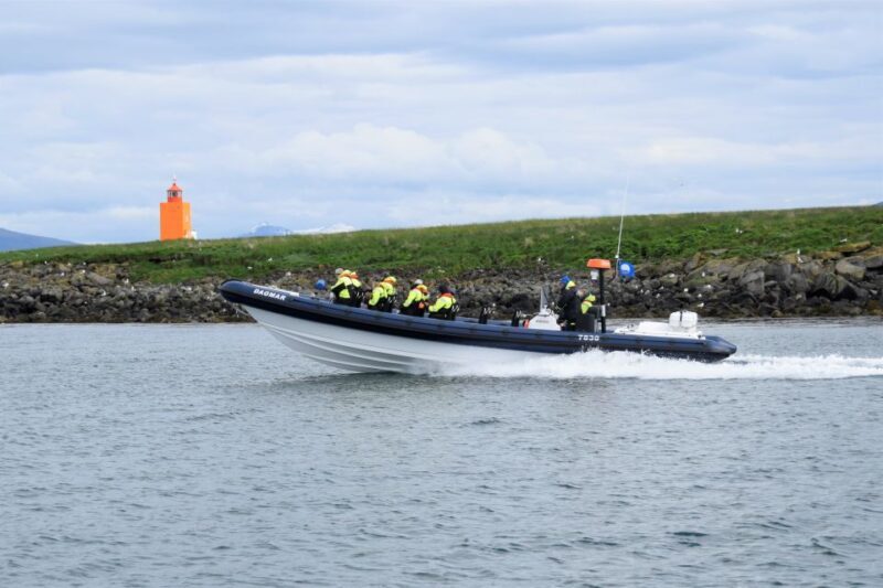 Reykjavik: Puffin Watching Tour by RIB Speedboat - Key Points