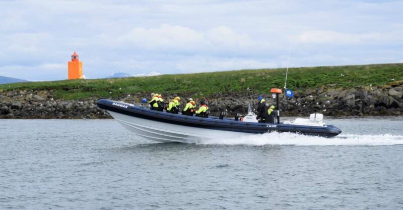 Reykjavik: Puffin Watching Tour by RIB Speedboat - Final Thoughts: Is It Worth It?