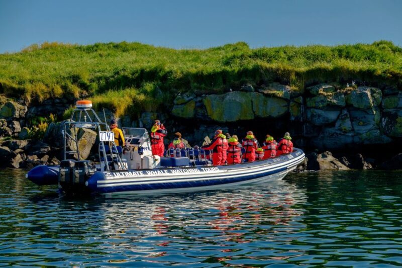 Reykjavik: Puffin Watching Tour - An Exciting Way to Spot Iceland’s Puffins