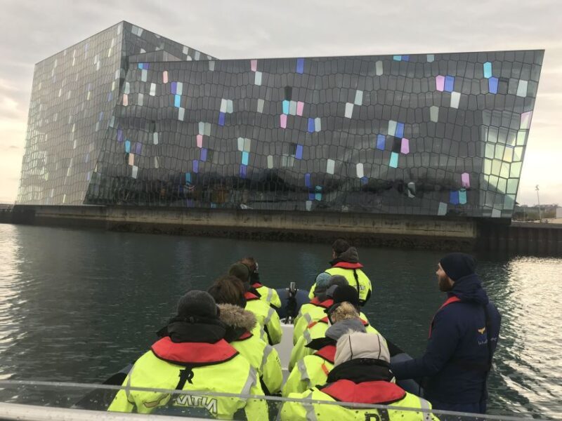 Reykjavík: RIB Speed-Boat Puffin Watching Tour - Who Will Love This Tour?