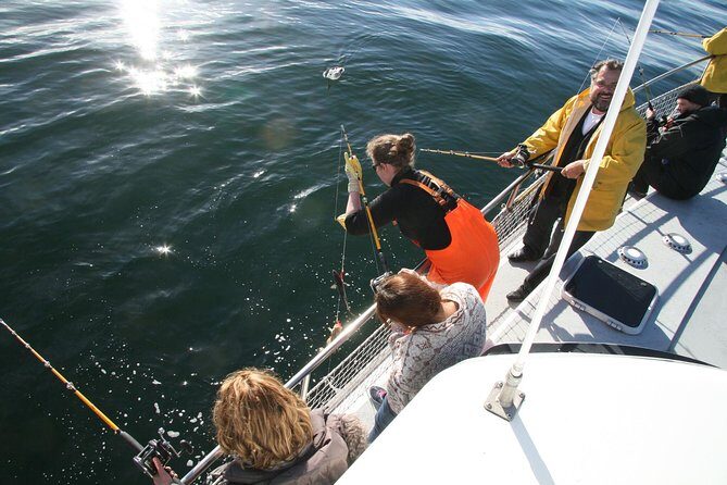 Reykjavik Sea Angling Gourmet - A Detailed Look at the Reykjavik Sea Angling Gourmet Tour