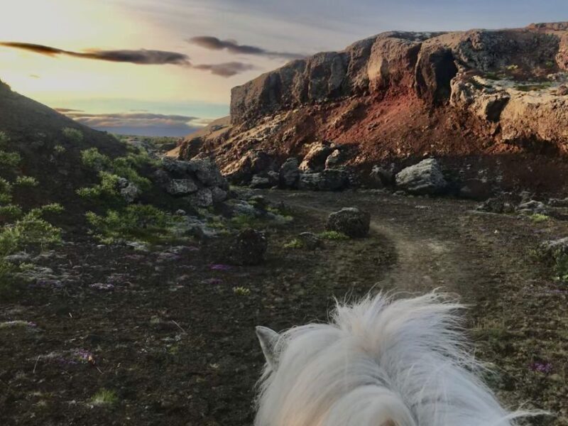 Reykjavik: Small-Group Horse Volcano Riding Tour with Pickup - Who Would Love This Tour?