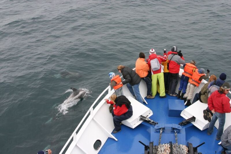Reykjavik: the Original 3-Hour Whale Watching Tour - Who Will Appreciate This Tour?