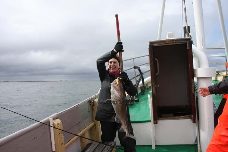 Reykjavik: Traditional Sea Fishing with BBQ Feast - The Thrusts and Flaws