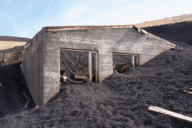 Reykjavík: Westman Islands, Volcanoes and Puffins Minibus Tour - Detailed Exploration of the Tour Experience