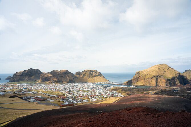 Reykjavík: Westman Islands, Volcanoes and Puffins Minibus Tour - The Sum Up