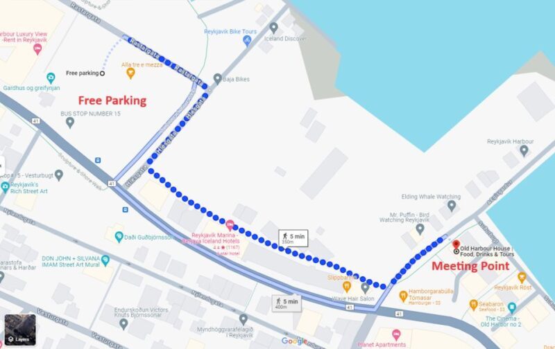 Reykjavik: Whale & Marine Adventure Tour - What to Expect on the Tour