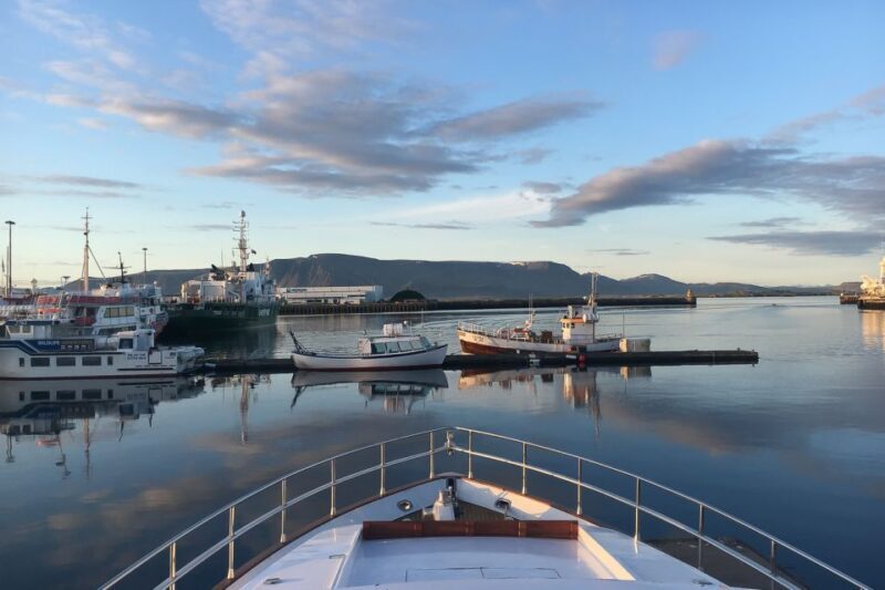Reykjavik: Whale Watching and Dolphin Watching Yacht Cruise - Key Points