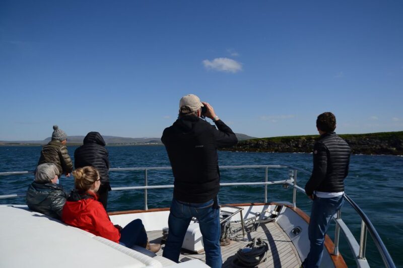 Reykjavik: Whale Watching and Dolphin Watching Yacht Cruise - FAQ