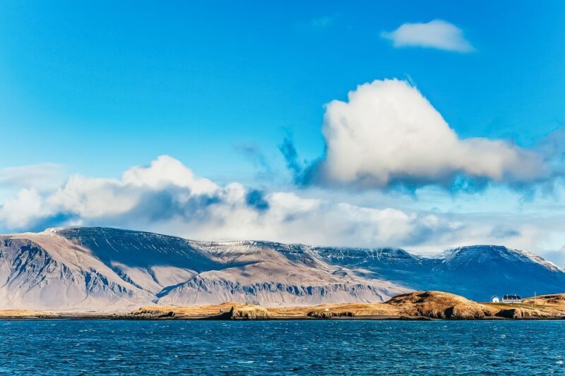 Reykjavík: Whale Watching and Marine Life Cruise - Who Will Love This Tour?