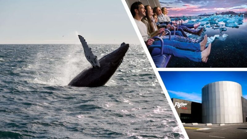 Reykjavík: Whale Watching Cruise and FlyOver Combo Ticket - Frequently Asked Questions