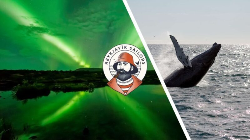 Reykjavik: Whale Watching & Northern Lights Combo Cruise - Key Points