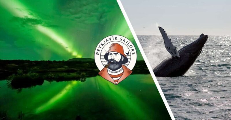 Reykjavik: Whale Watching & Northern Lights Combo Cruise - What Past Travelers Say