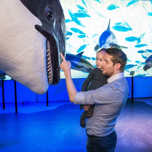 Reykjavik: Whale Watching Tour, Whales of Iceland Exhibition - An In-Depth Look at the Experience