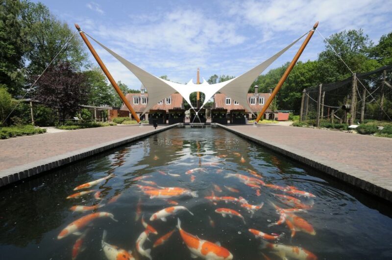 Rhenen: Ouwehands Zoo Entry Ticket - African Elephants and Other Big Animals