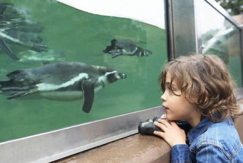 Rhenen: Ouwehands Zoo Entry Ticket - Who Will Enjoy This Tour?