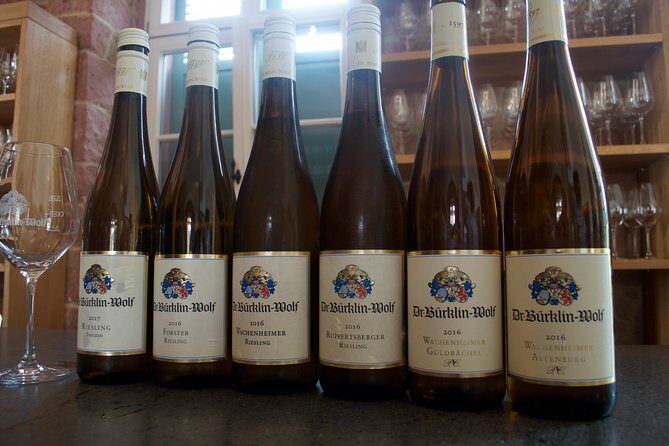 Rhine Valley Wine Tasting Tour from Frankfurt and Mainz - A Closer Look at the Rhine Valley Wine Tasting Tour