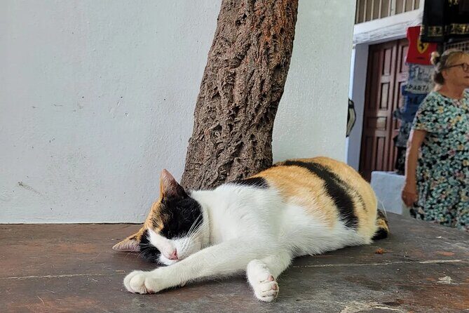 Rhodes Airport: One-way Private Luxury Transfer from Airport - FAQ