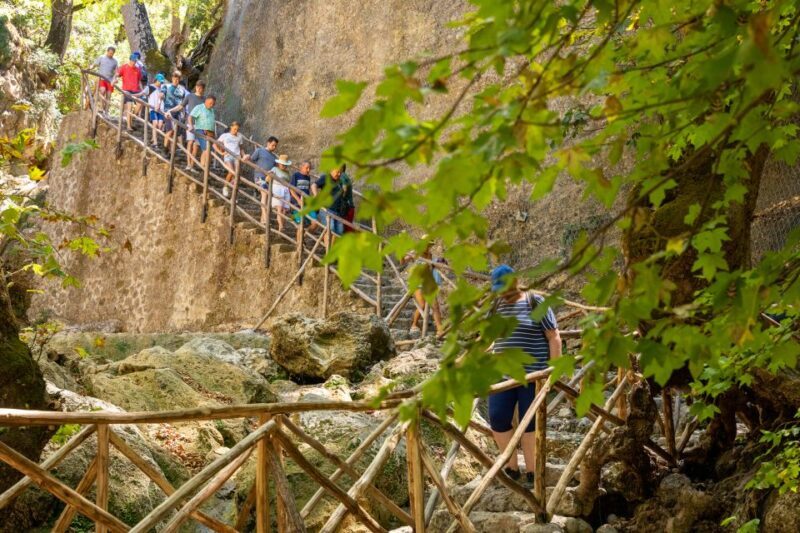 Rhodes: Butterfly Valley and Seven Springs Valley Day Trip - What Makes This Tour a Great Choice?