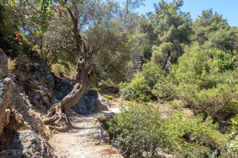 Rhodes: Butterfly Valley and Seven Springs Valley Day Trip - Frequently Asked Questions