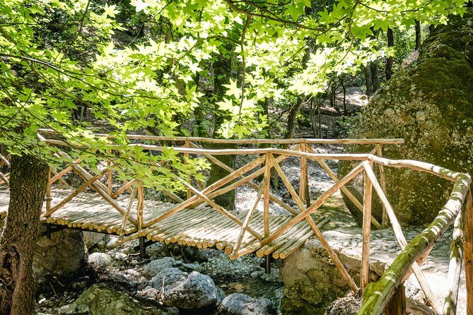 Rhodes: Butterfly Valley & Seven Springs Nature Day Trip - An In-Depth Look at the Rhodes Nature Day Trip