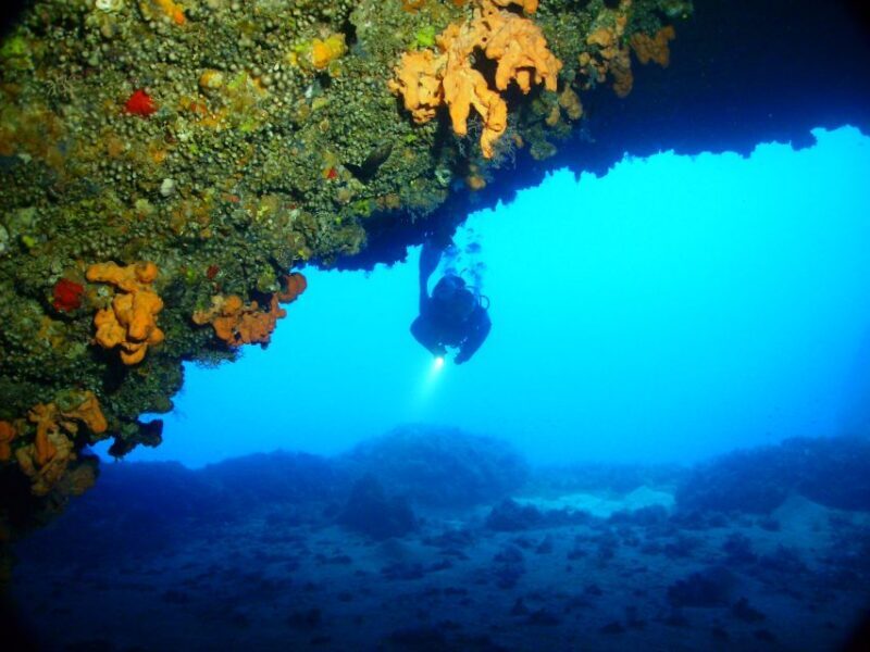 Rhodes: Diving Adventure for Beginners and Experts - Who Is This Tour Best For?