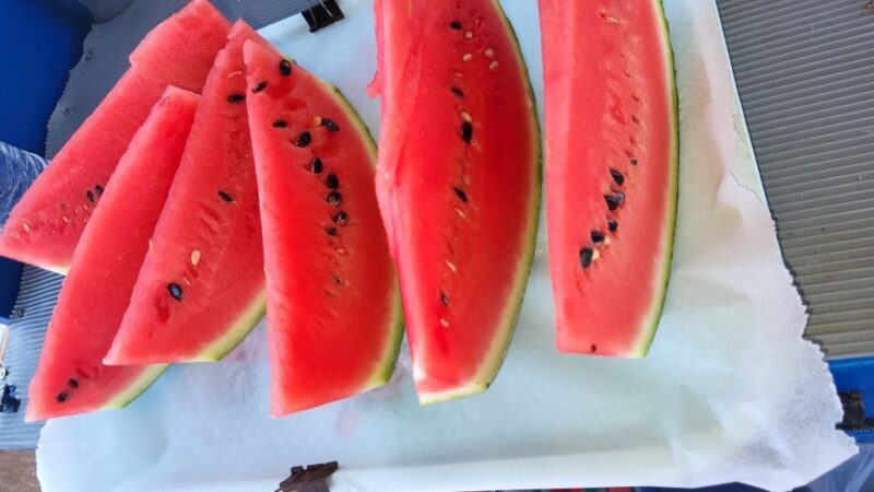 Rhodes: Fishing Trip, Snorkelling, BBQ, & Professional Guide - FAQ