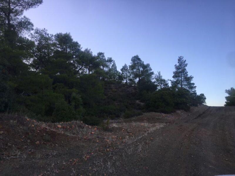 Rhodes: Full-Day 4WD Southern Safari Tour - The Sum Up