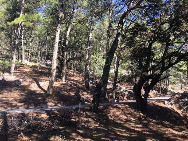 Rhodes: Full-Day 4WD Northern Safari Tour - Authentic Reviews: Real Travelers’ Perspectives