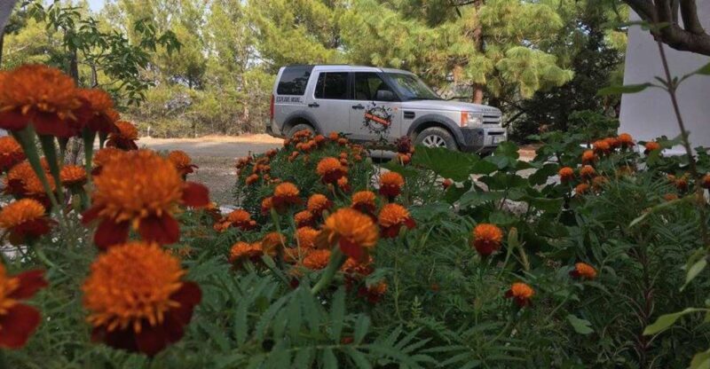 Rhodes: Full-Day 4WD Northern Safari Tour - Final Thoughts: Who is This Tour Perfect For?