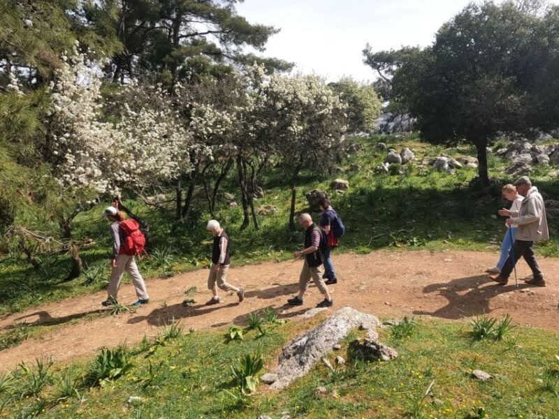 Rhodes: Hike Mountain Profitis Ilias from Salakos village - Practical Details