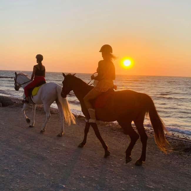 Rhodes Island: Horseback Riding at the Beach During Sunset - Key Points