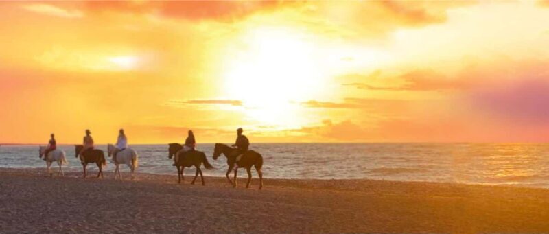 Rhodes Island: Horseback Riding at the Beach During Sunset - An Authentic Sunset Horseback Ride on Rhodes