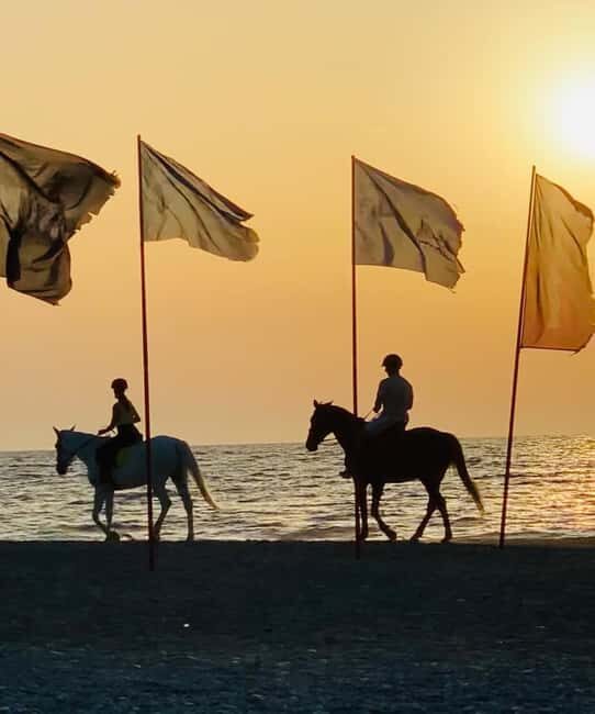 Rhodes Island: Horseback Riding at the Beach During Sunset - Who Might Want to Consider Alternatives