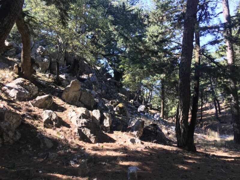 Rhodes North Safari: Hidden Paths & Scenic Flavors - Key Points