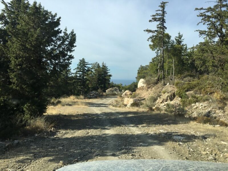 Rhodes North Safari: Hidden Paths & Scenic Flavors - What Reviewers Say