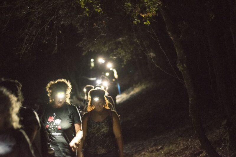 Rhodes: Profitis Ilias Guided Sunset Hike - The Practical Side: Logistics, Value, and Experience Quality